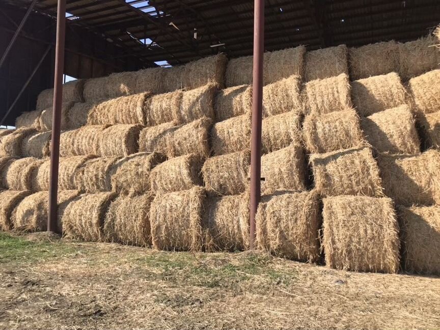 Солома в тюках и рулонах (цена за 1тонну)