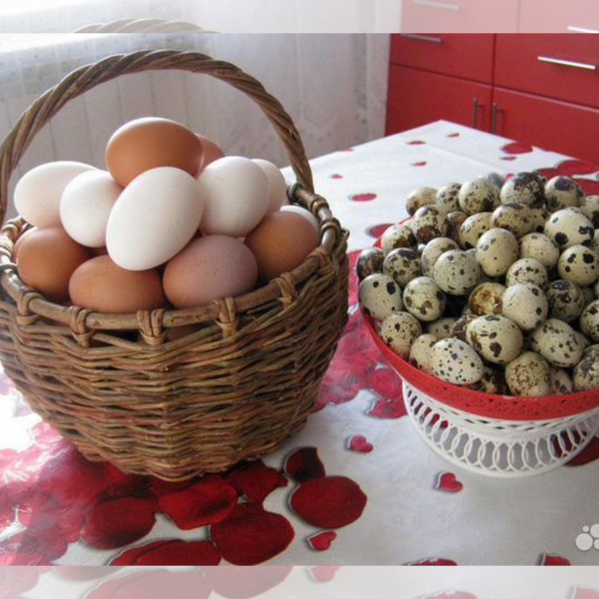 Яйцо домашнее Перепелиное, Куриное. Вкусные