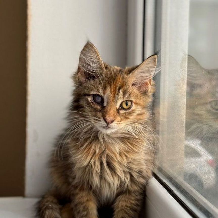 Помогите одноглазой девочке стать счастливой