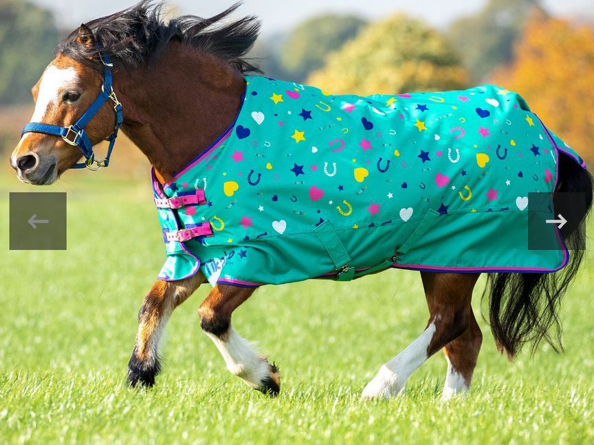 Попона для лошади 90 Shires