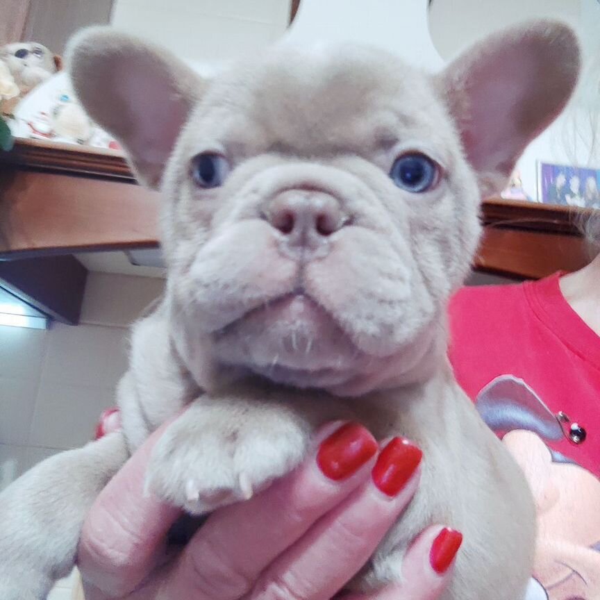 Суперский ребенок