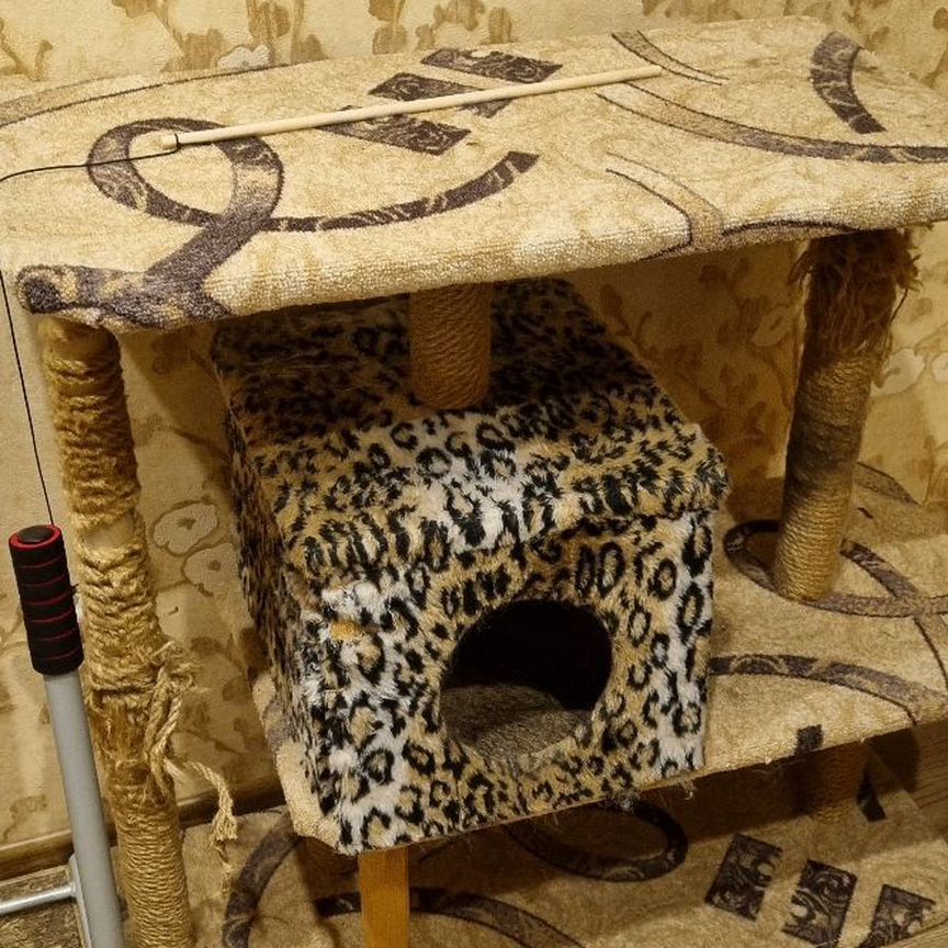 Когтеточка домик для кошки бесплатно