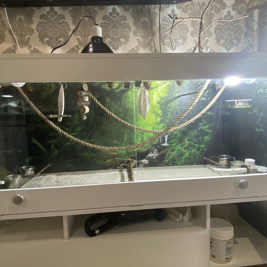 Авиарий клетка для птиц бокс для птиц