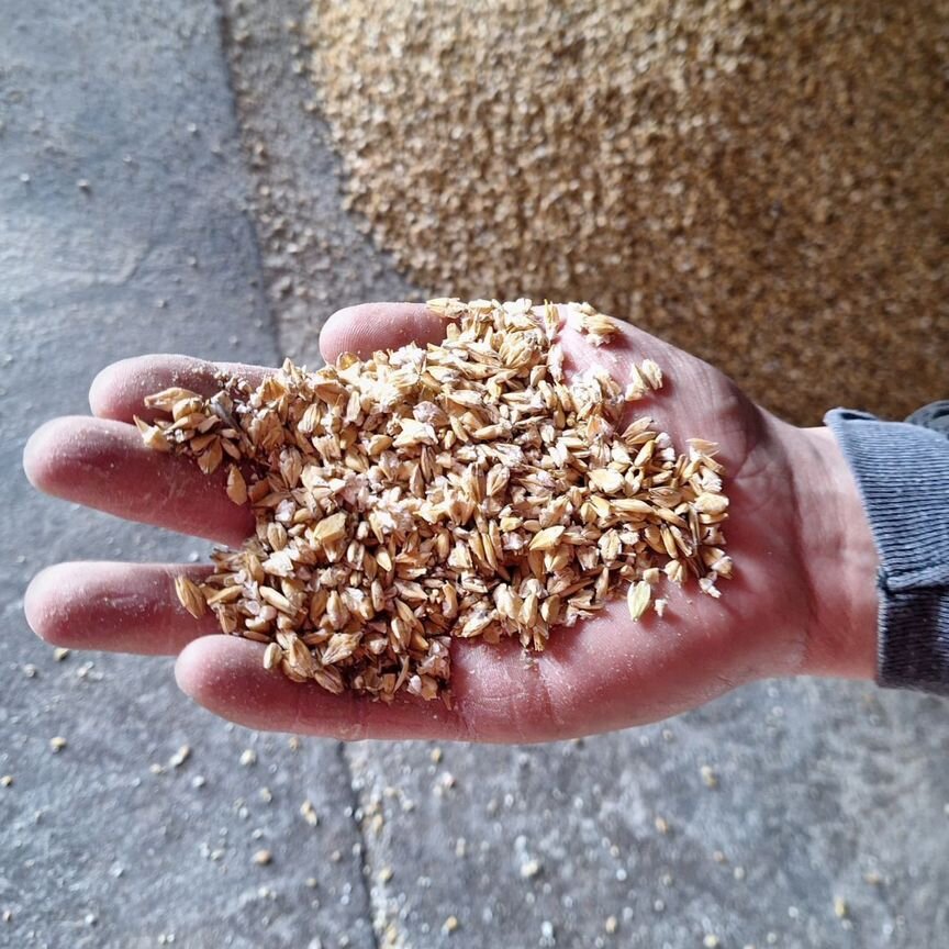 Пшеница, ячмень, дроблëнка плющенная