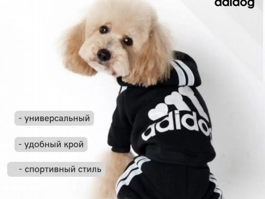 Костюмчик для собак и кошек