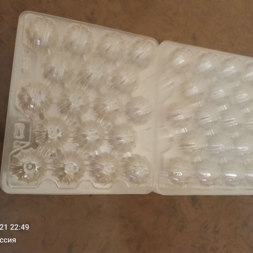 Контейнер для перепелиных яиц