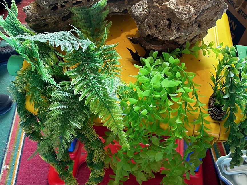 Декор для аквариума