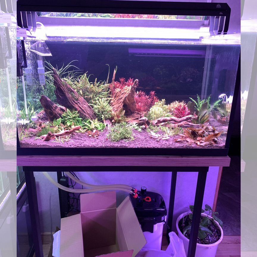 Аквариума Готовый проект