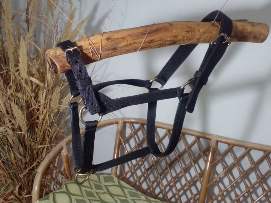 Недоуздок на лошадь Full, XFull