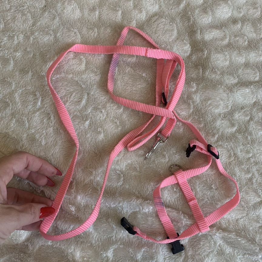 Шлейка для кошки