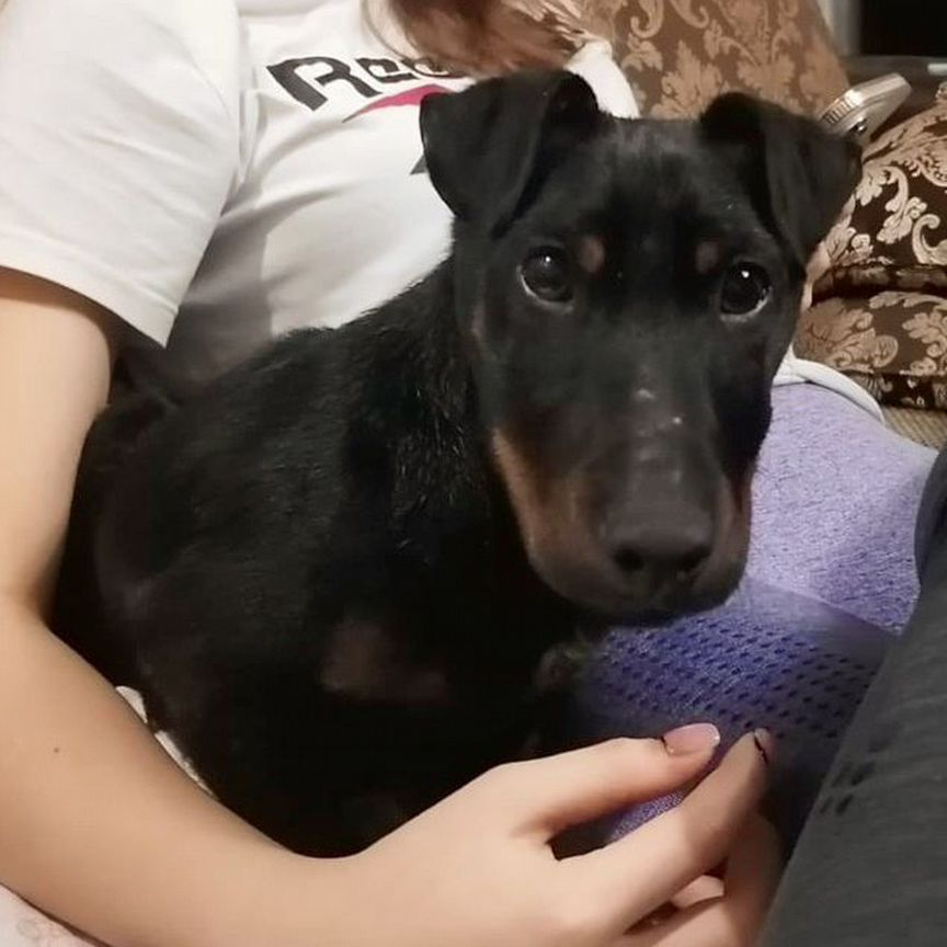 Мальчик, 7 мес