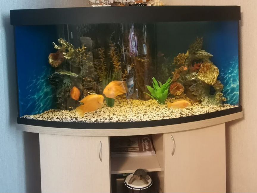 Аквариум с тумбой