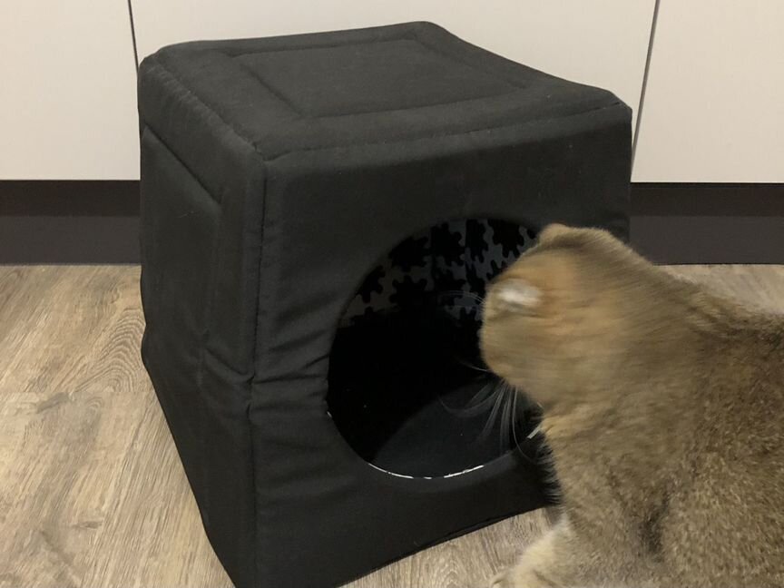 Кошкин домик