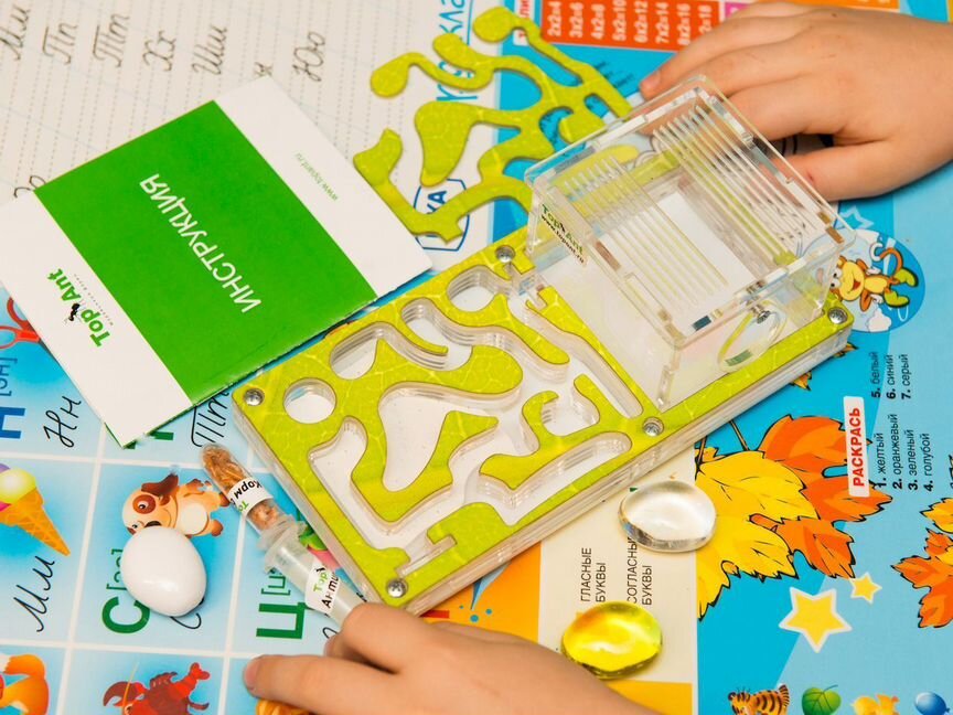 Муравьиная ферма / Формикарий