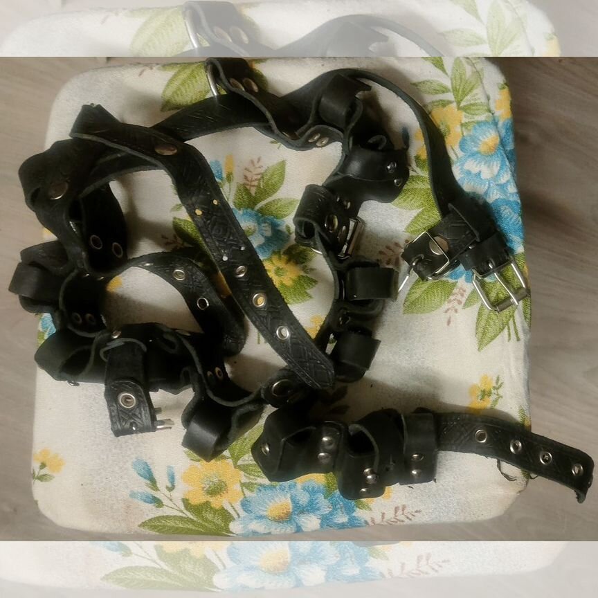 Шлейка для собаки с грузами