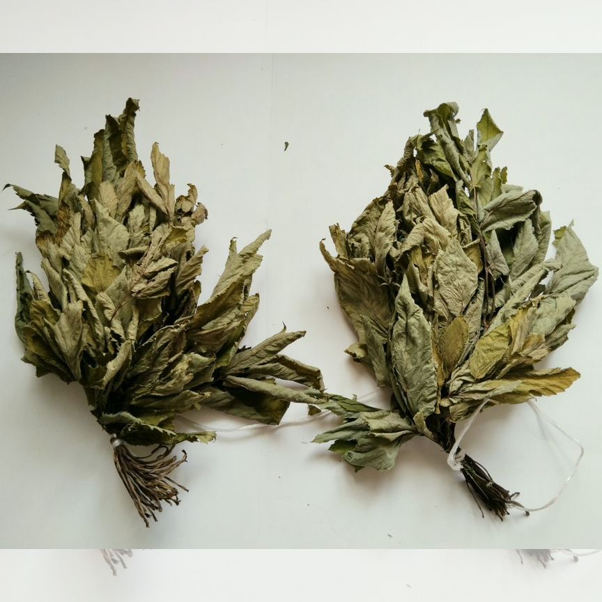 Сныть Травяной веник для грызунов