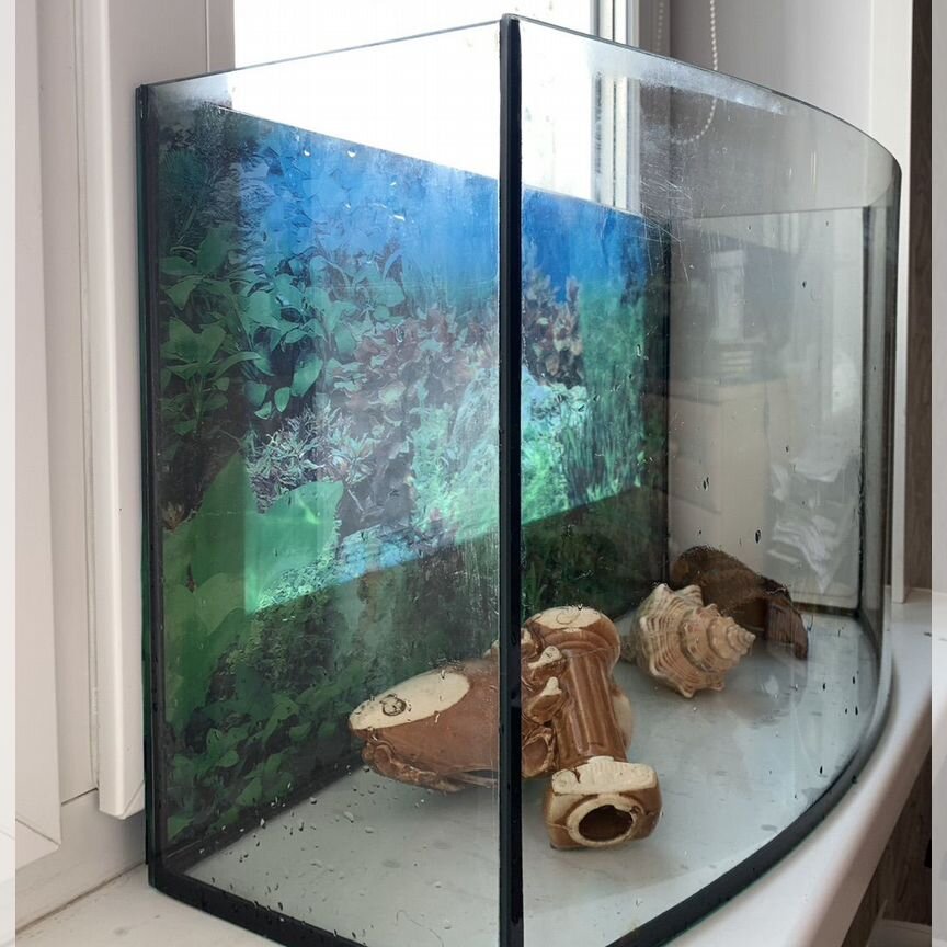 Аквариум