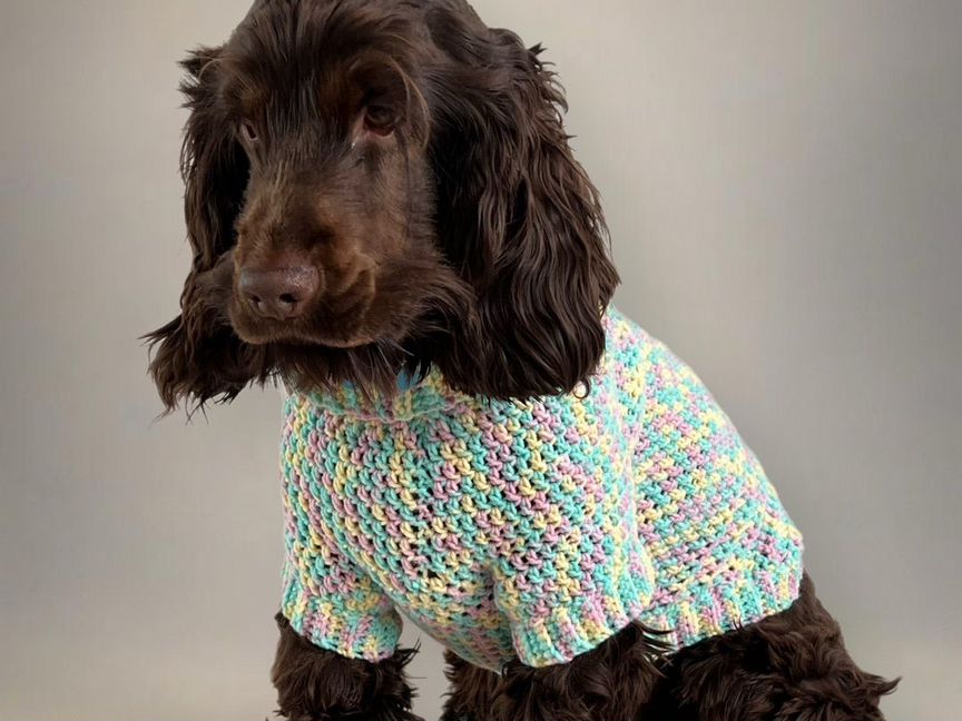 Свитер/кофта для собак