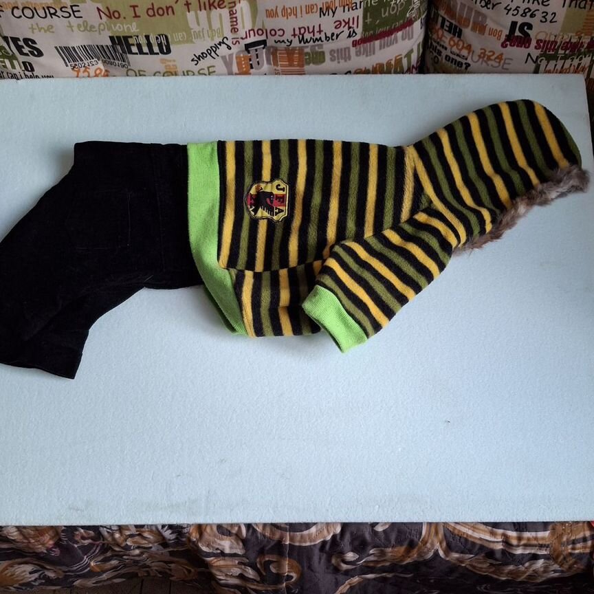 Костюм для таксы