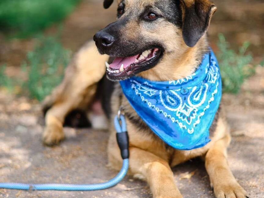 Брошенный мальчик снова ищет дом