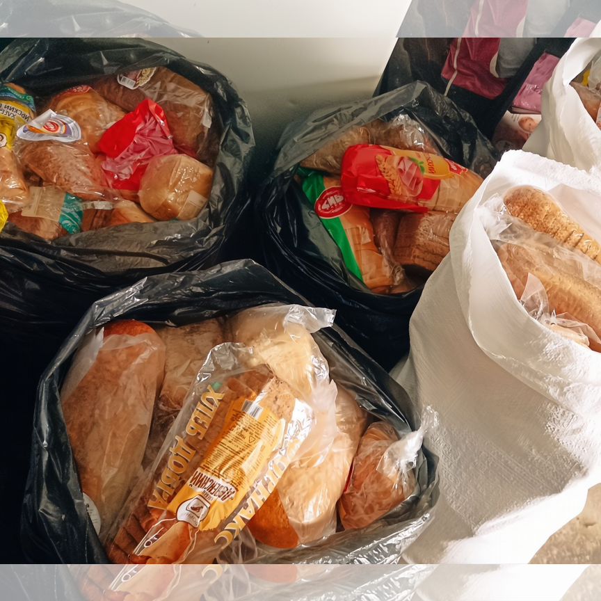 Корма для животных