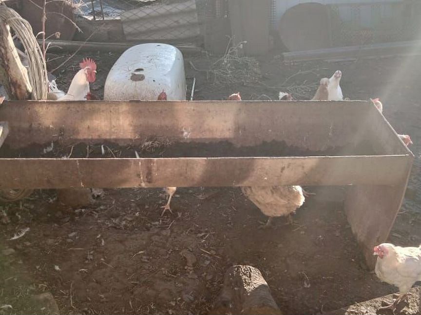 Корыто для поения скота