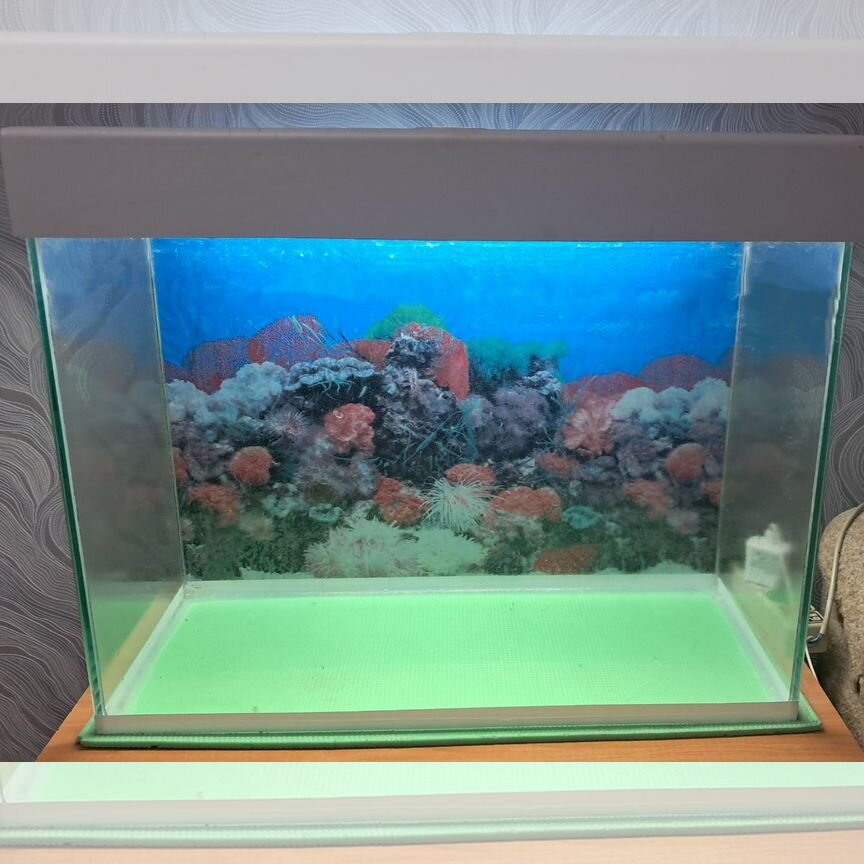 Аквариум 100 литров