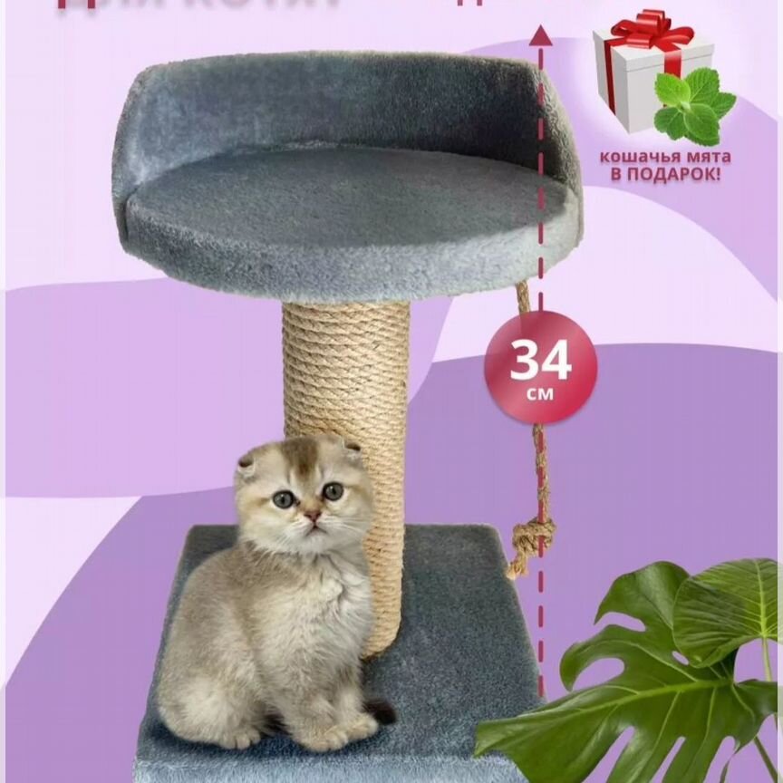 Когтеточка 34 см