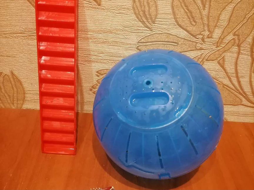 Шар для хомяка бесплатно