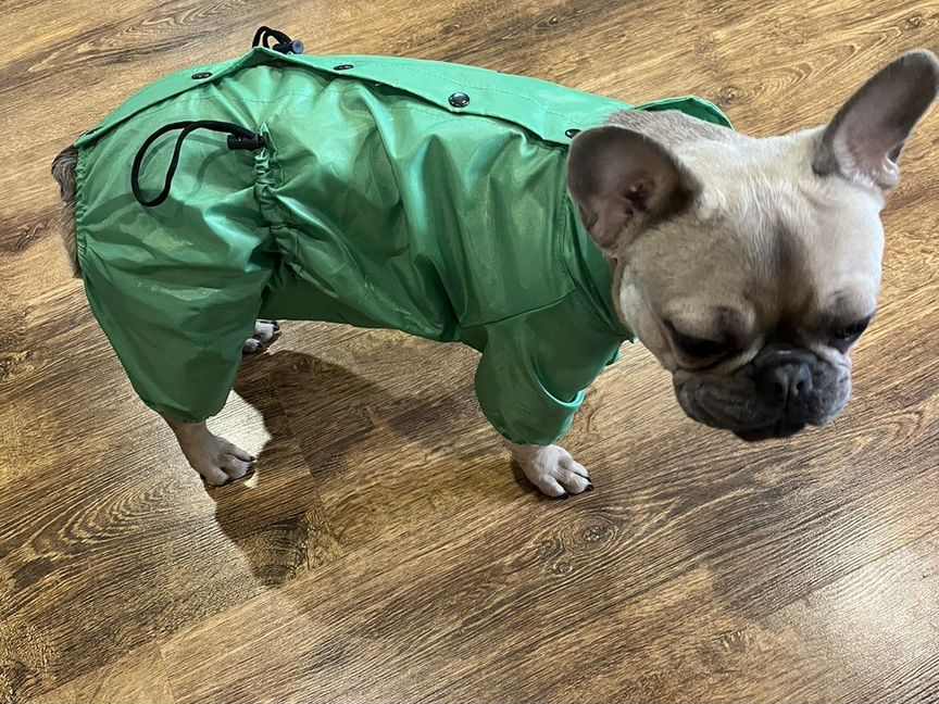 Плащ для собак