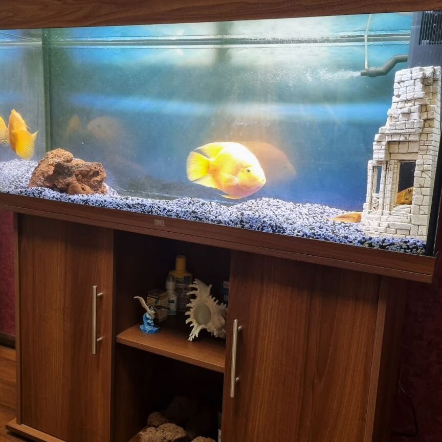 Немецкий аквариум 240л