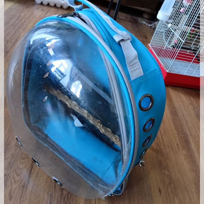 Рюкзак для прогулки с попугаем или с мале питомцем