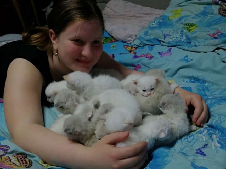 Кучка нежности и счастья