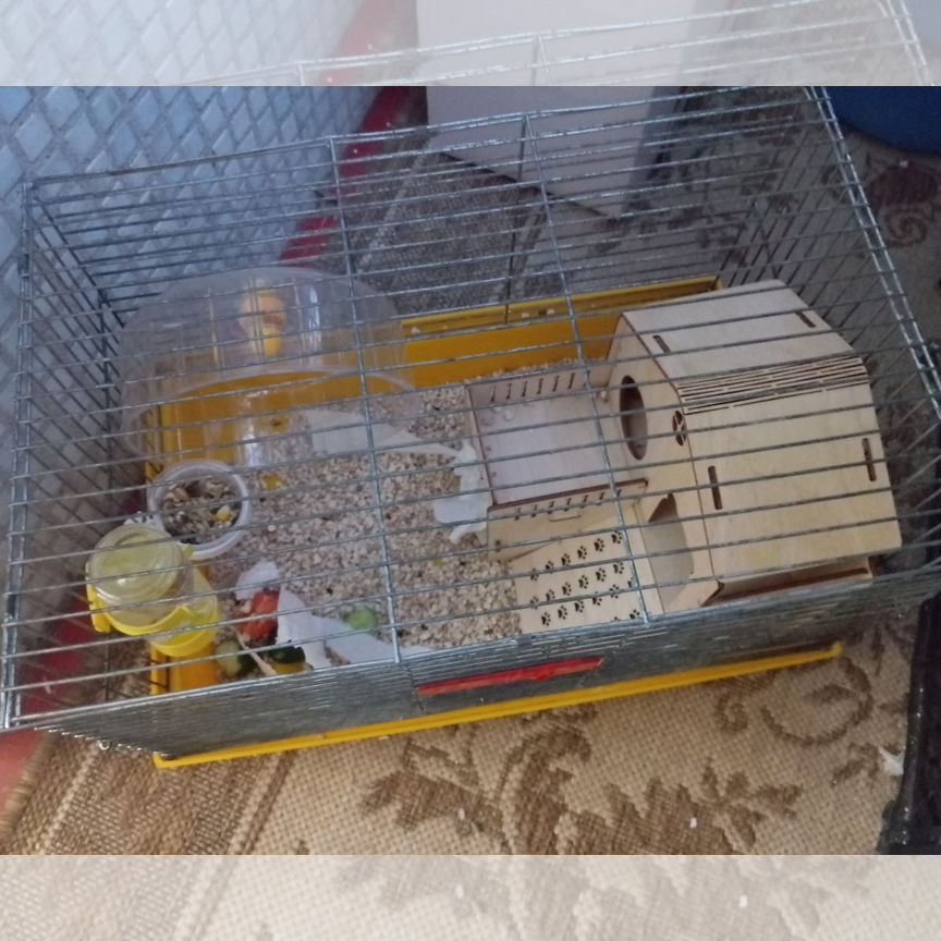 Клетка для грызунов со всеми принадлежностями