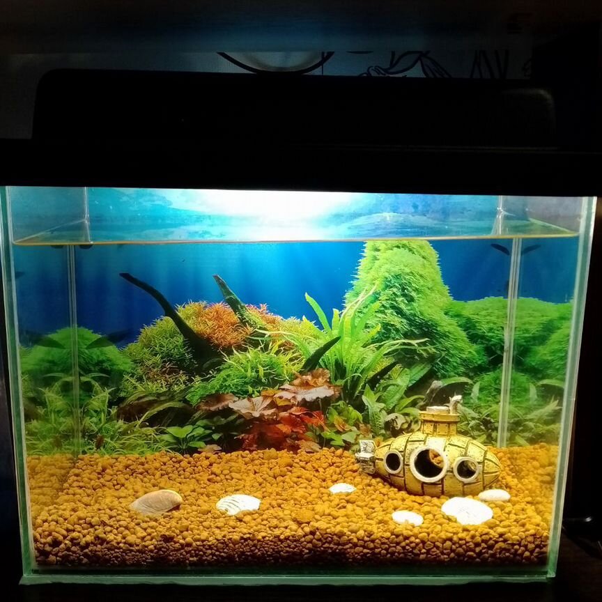 Аквариум 25 литров