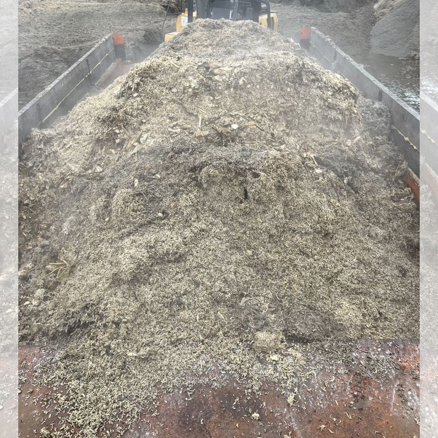 Жом свекловичный сырой