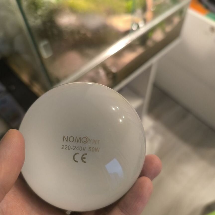 Лампа накаливания для террариума 50 w