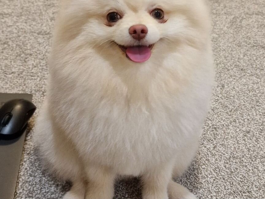 Шпиц для вязки кабель