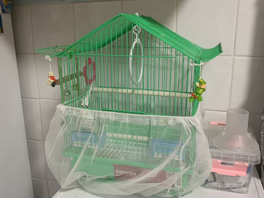 Волгистый попугай с клеткой