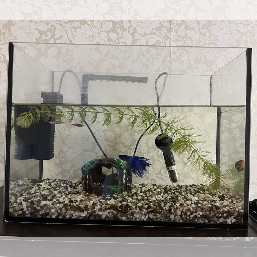 Аквариум с рыбками