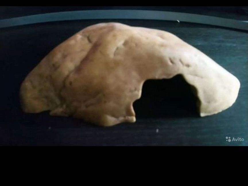 Поилка, грот/ эублефар, террариум, коврик Exoterra