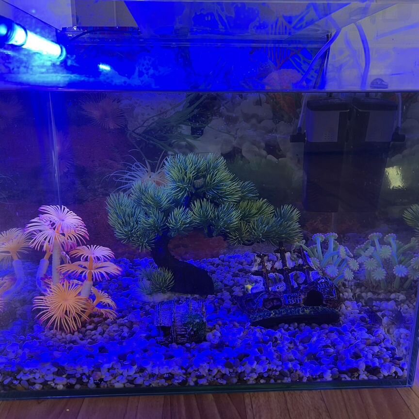 Аквариум с рыбками 40литр