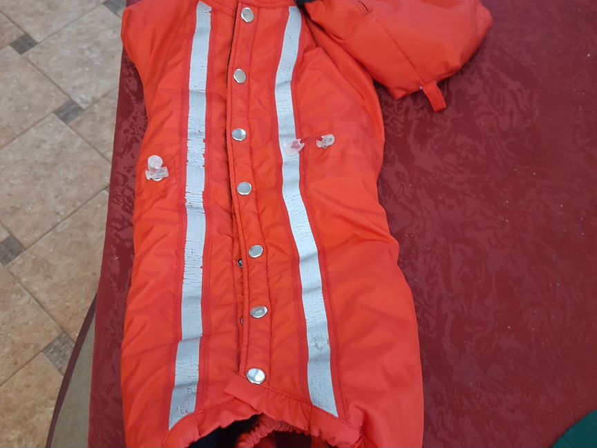 Комбинезон для таксы девочки