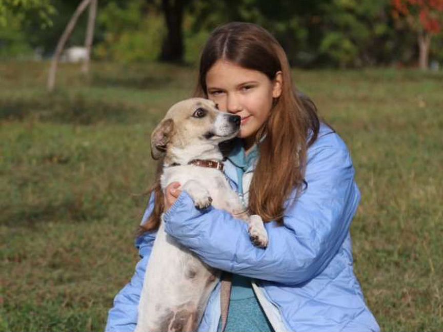 Небольшая собачка Динь-динь 6 кг