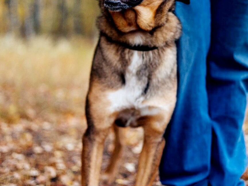 Чудесный Август ищет семью