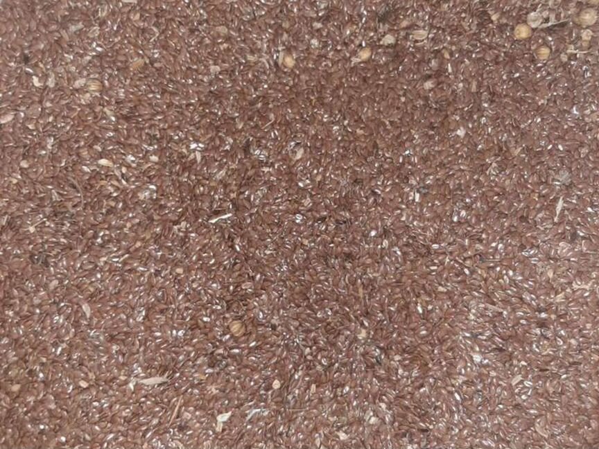 Семена льна, льняное семя