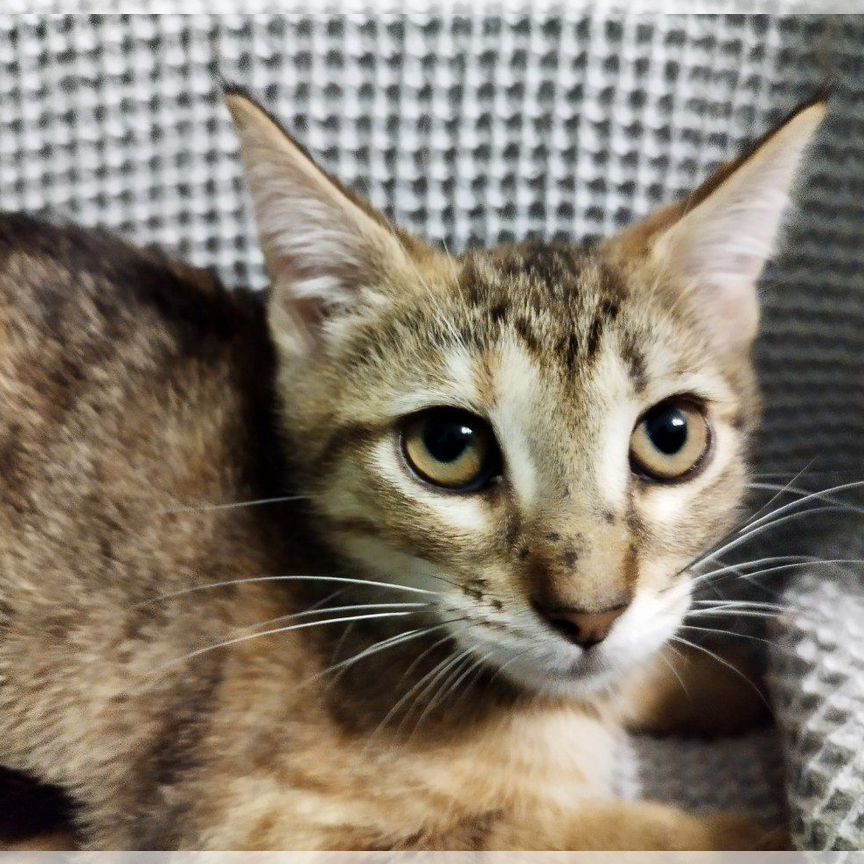 Малышка Люси заждалась маму