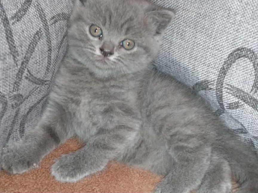 Британская