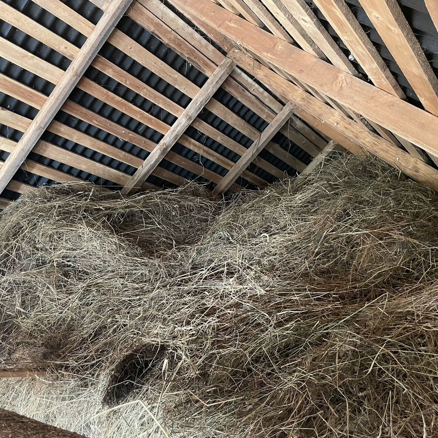 Сено кормовое