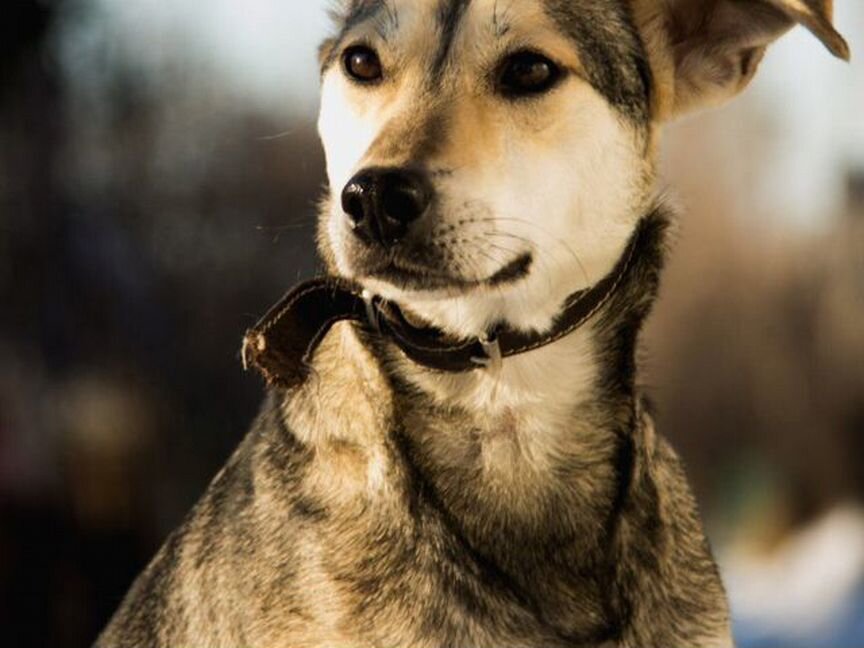 Особенная Дина мечтает о доме